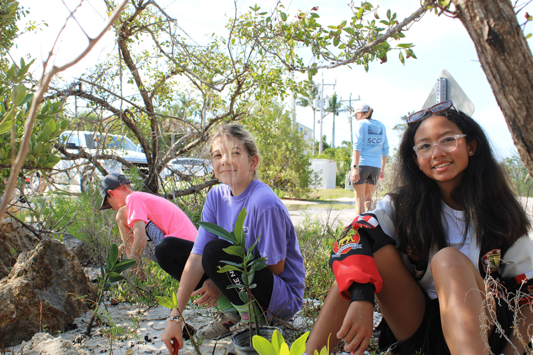 Students complete mangrove project with habitat restoration - SANIBEL ...
